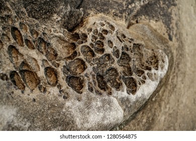 Eroded Stone Surface Texture Background Stock Photo 1280564875 ...