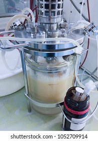 Ethanol Fermentation Using Yeast Laboratory Fermentor Stock Photo (Edit ...