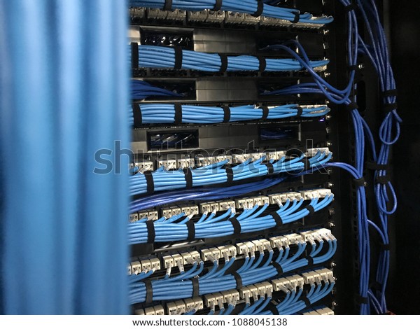 Ethernet Cables Rack Cabinetutp Cables Patch Stock Photo (Edit Now ...
