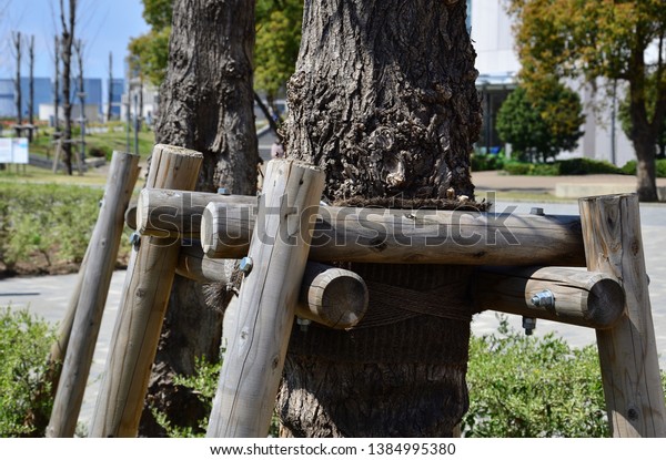 Even Trees Need Help Stock Photo 1384995380 | Shutterstock