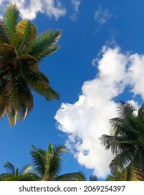 183 Picture Without Edit Images, Stock Photos & Vectors | Shutterstock