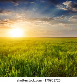 486,265 Sunshine field Images, Stock Photos & Vectors | Shutterstock