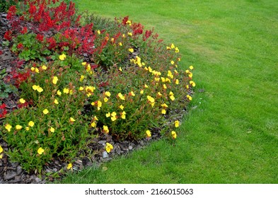 2,315 Straight Stem Flowers Images, Stock Photos & Vectors | Shutterstock