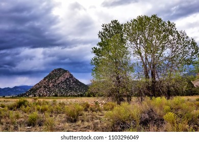 218 Colorado ruby Images, Stock Photos & Vectors | Shutterstock