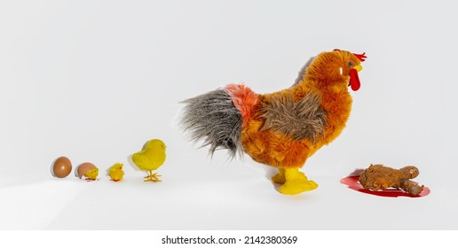 540 Chicken evolution Images, Stock Photos & Vectors | Shutterstock