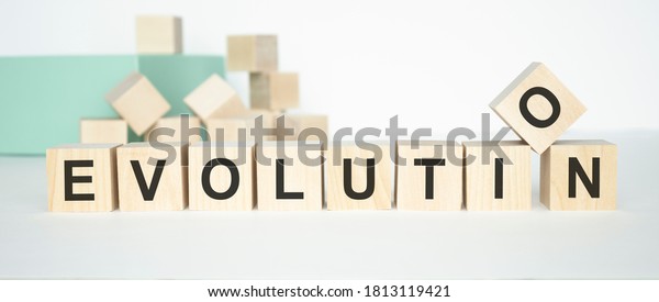 Evolution Letters On Block On White Stock Photo 1813119421 | Shutterstock