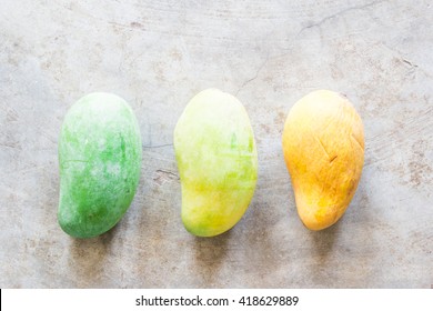58 3 types mango 이미지, 스톡 사진 및 벡터 | Shutterstock
