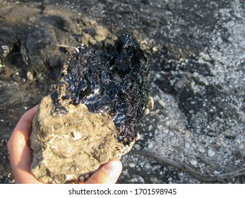 196 Tar seep Images, Stock Photos & Vectors | Shutterstock