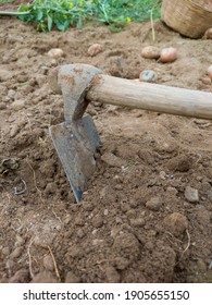 Manual excavation Images, Stock Photos & Vectors | Shutterstock