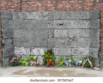 Death Wall Auschwitzbirkenau Concentration Camp Stock Photo (Edit Now ...