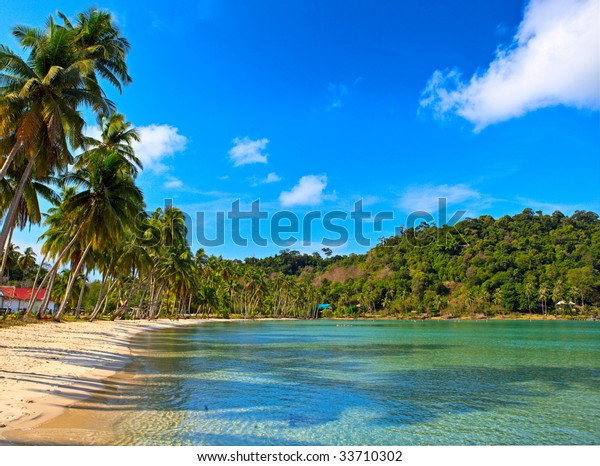 Exotic View Stock Photo 33710302 | Shutterstock