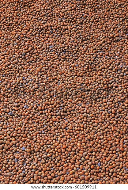 Expanded Clay Aggregate Texture Background Stock Photo 601509911 ...