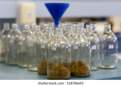 Experiment Fermentation Lab Stock Photo 518786692 | Shutterstock