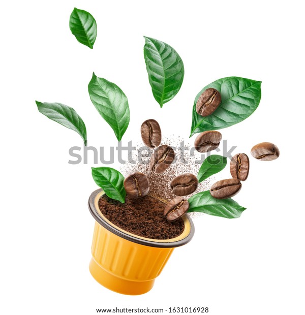 Exploded View Coffee Grinder Roasted Beans Stock Photo 1631016928 ...