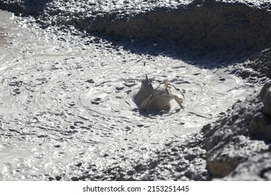 Exploding Mud Pots Geothermal Areas Yellowstone Stock Photo 2153251445 ...