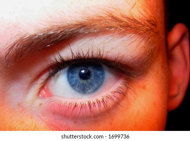 Stock Photo and Image Portfolio by Saoirse Mac Cárthaigh | Shutterstock