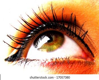 Eye Stock Photo 17057380 | Shutterstock