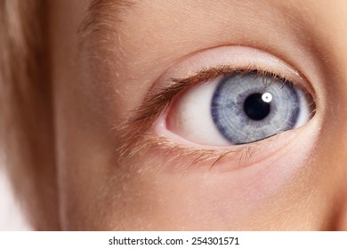 1,133 Blue eye lid Images, Stock Photos & Vectors | Shutterstock