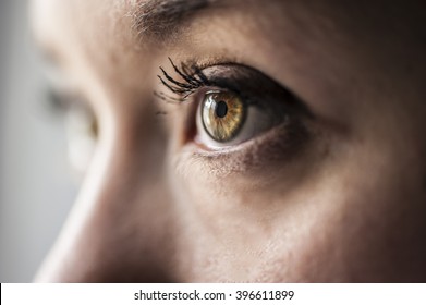 3,359,486 Looking in the eye Images, Stock Photos & Vectors | Shutterstock