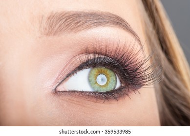 Eye Close Makeup Stock Photo 359533985 | Shutterstock