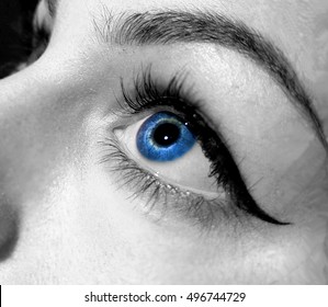 Eye Vision Stock Photo 496744729 | Shutterstock