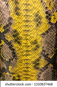 Fabric Texture Snake Pattern Close Stock Photo 1310837468 | Shutterstock