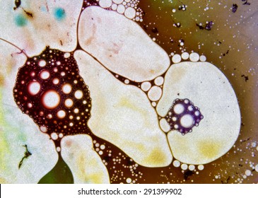 2,720 imágenes de Paint under microscope - Imágenes, fotos y vectores ...
