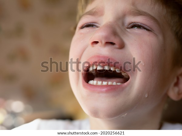 Face Crying Boy Close Eyes Eyelashes Stock Photo 2020256621 | Shutterstock