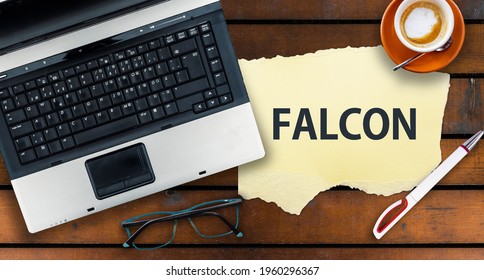 129 Falcon Digital Stock Photos, Images & Photography | Shutterstock