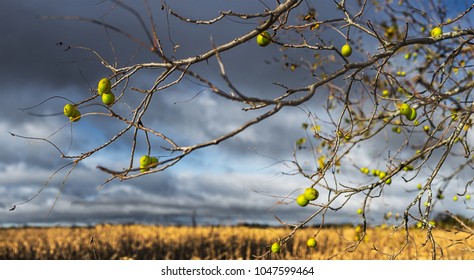 Stock Photo and Image Portfolio by Ted Simonett | Shutterstock