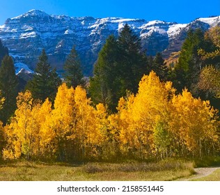 2,583 Alpine Loop Images, Stock Photos & Vectors | Shutterstock