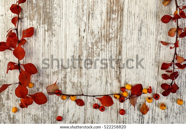Fall Colors Background Frame Stock Photo (Edit Now) 522258820