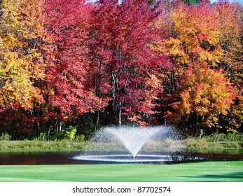 Fall Foliage Stock Photo 87702574 | Shutterstock