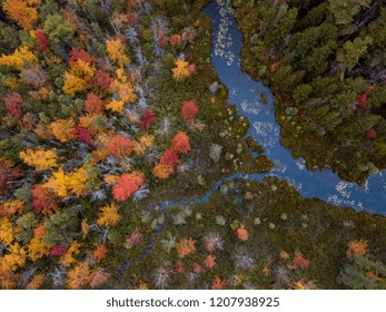 271 Fall Trees Ariel Images, Stock Photos & Vectors | Shutterstock