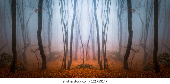 Fall Forest Stock Photo 121753147 | Shutterstock