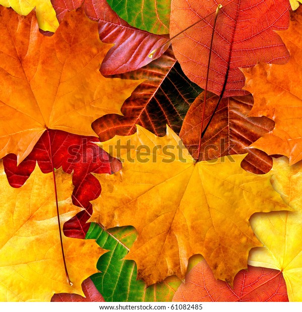 Fall Leafs Seamless Background Texture Pattern Stock Photo (Edit Now ...