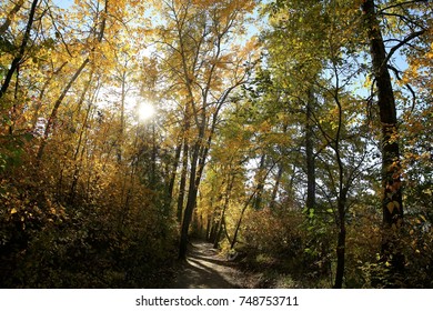 Stock Photo and Image Portfolio by Joyce Sherwin | Shutterstock