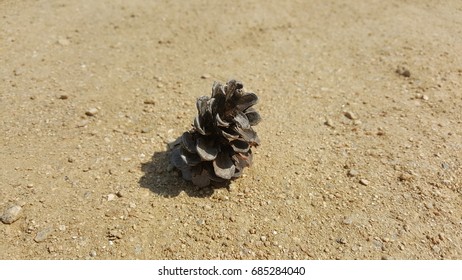 44 imágenes de Falible - Imágenes, fotos y vectores de stock | Shutterstock