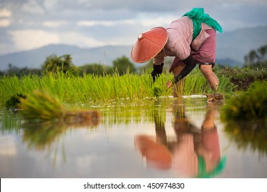 Famer Images, Stock Photos & Vectors | Shutterstock