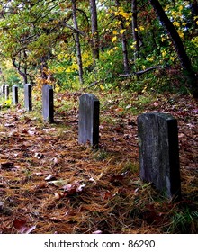 Family Plot Stock Photo 86290 | Shutterstock