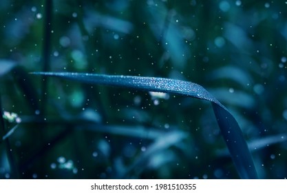 21,917 Midnight green Images, Stock Photos & Vectors | Shutterstock