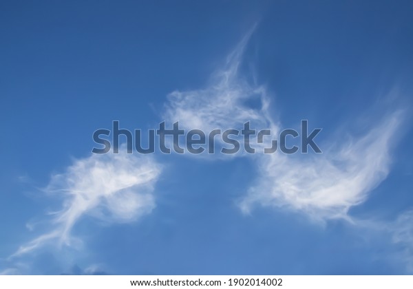 Fantasy Cloud Creature Form Dinosaur Whale Stock Photo 1902014002 ...
