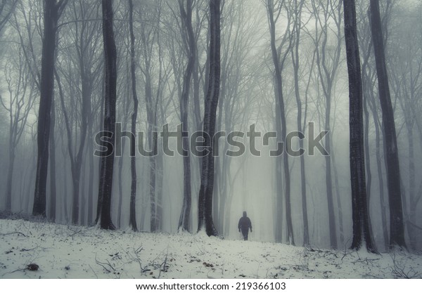 Fantasy Forest Winter Man Stock Photo 219366103 | Shutterstock
