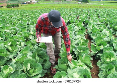31,815 Inspection agriculture Images, Stock Photos & Vectors | Shutterstock
