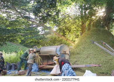 Farmer Doing Mechanical Threshing Method Working Stock Photo 2202177941 ...