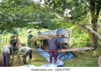 Farmer Doing Mechanical Threshing Method Working Stock Photo 2202177947 ...