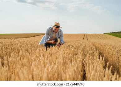 Farmer Using Mobile Phone While Standing Stock Photo 2172449743 ...