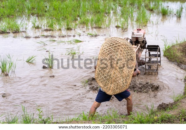 Farmer Using Tractor Prepare Soil During Stock Photo 2203305071 ...