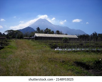 Farming Field Under Mount Merapi Yogyakarta Stock Photo 2148953025 ...