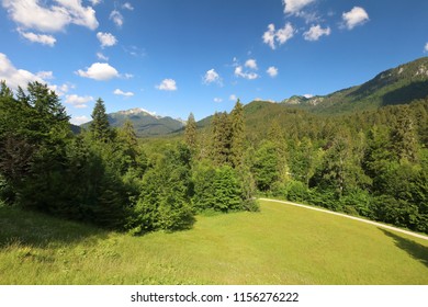 Fascinating Largeformat Types Green Meadows Edges Stock Photo (Edit Now ...